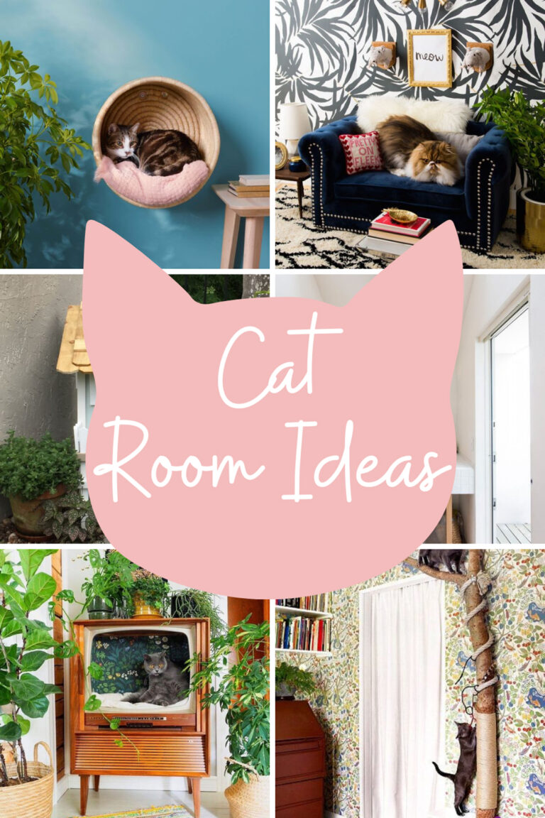 47+ Purrr-fect Cat Room Ideas To DIY or Buy – Pink Pop Design