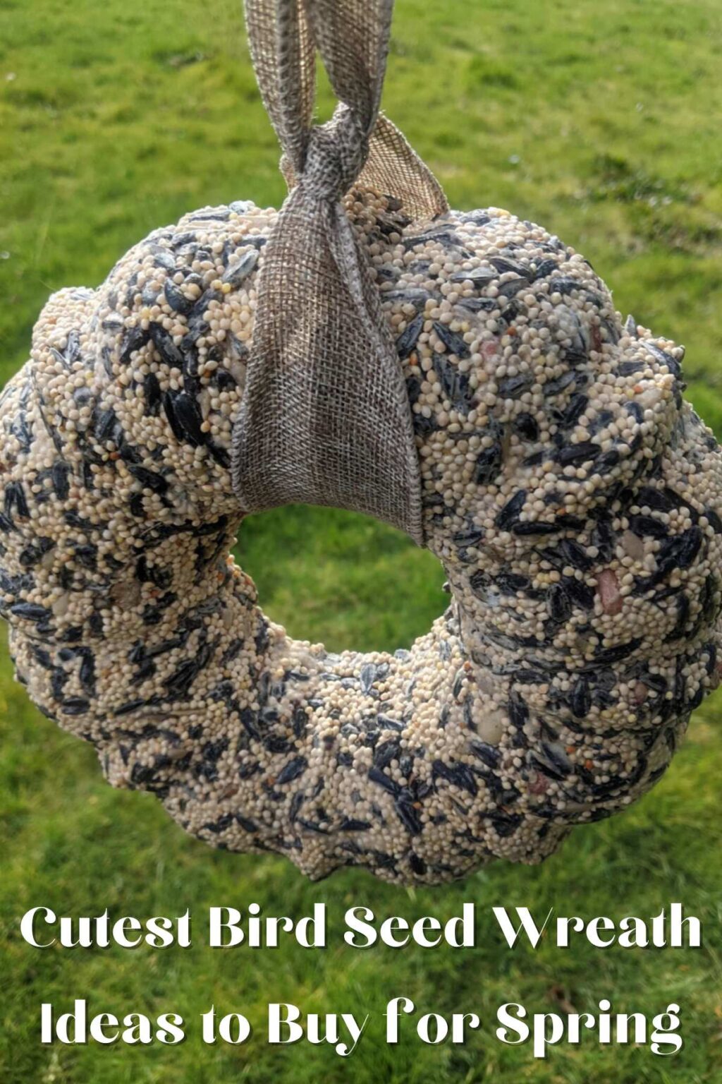 Cutest Bird Seed Wreath Ideas for Spring – Pink Pop Design