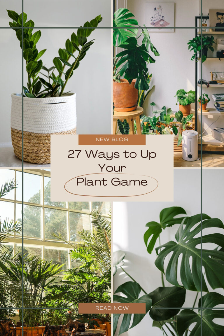 27 Favorite Plant Room Ideas To Grow Yourself – Pink Pop Design