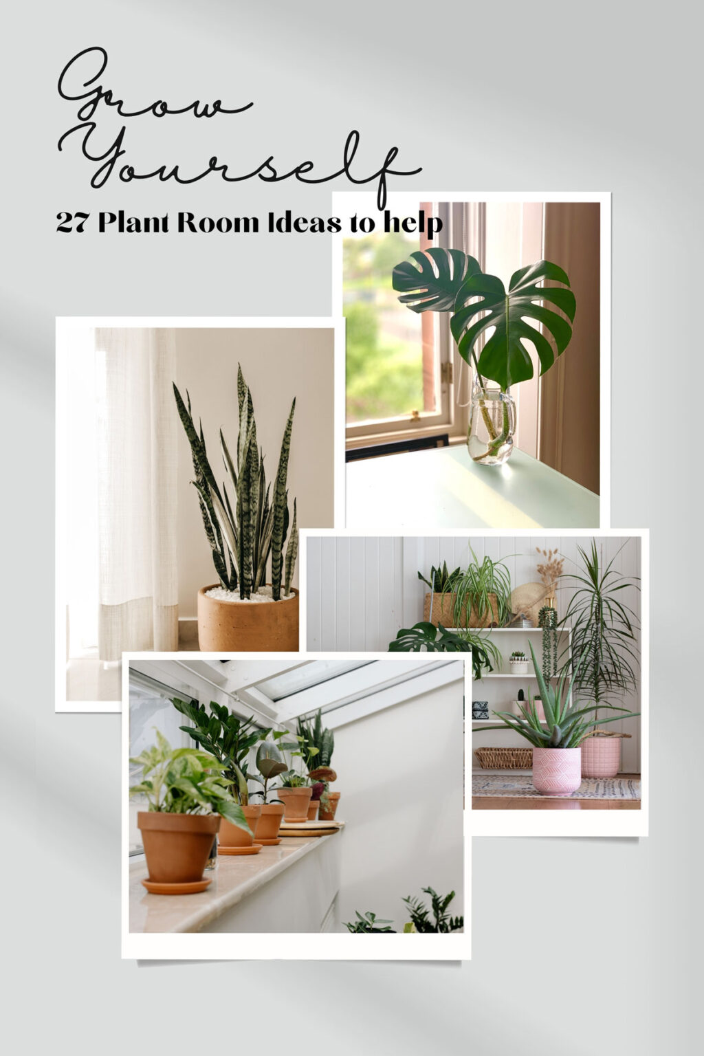 27 Favorite Plant Room Ideas To Grow Yourself – Pink Pop Design